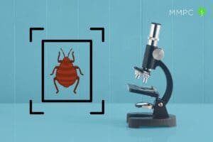 Bed Bugs Archives - MMPC