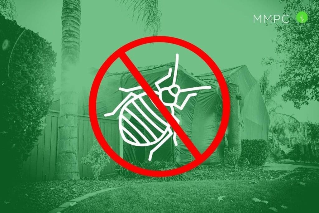 Bed Bugs Archives - MMPC