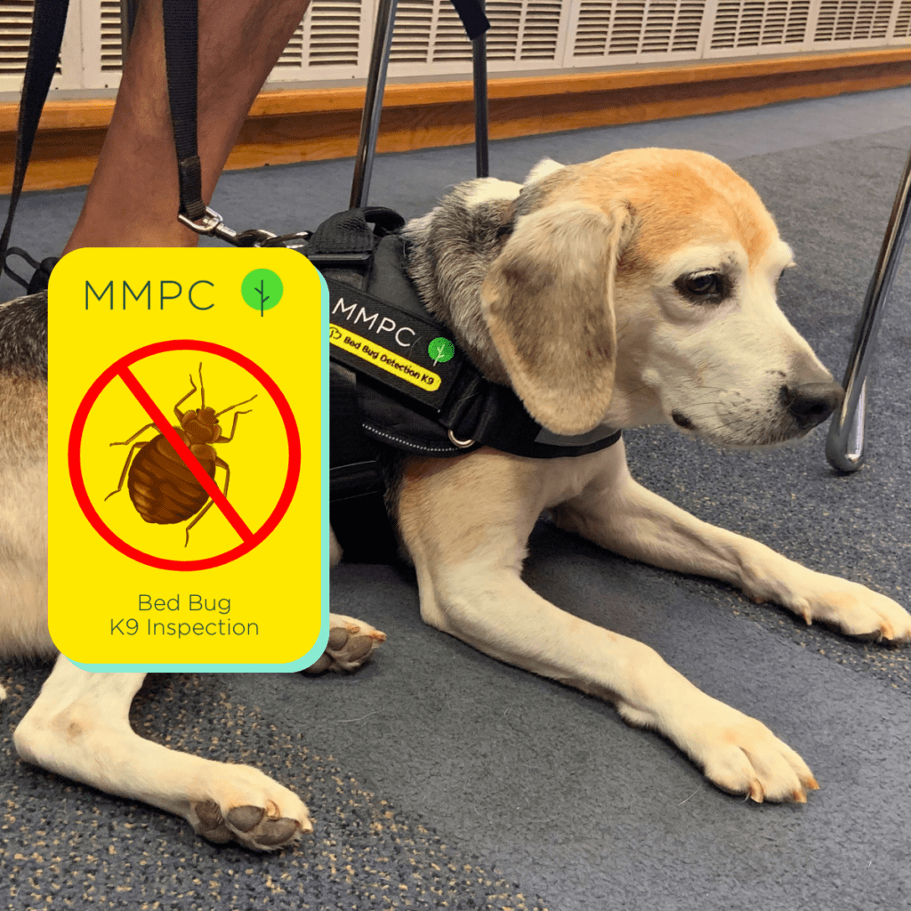 Bed Bug Services - K9 Inspections - MMPC