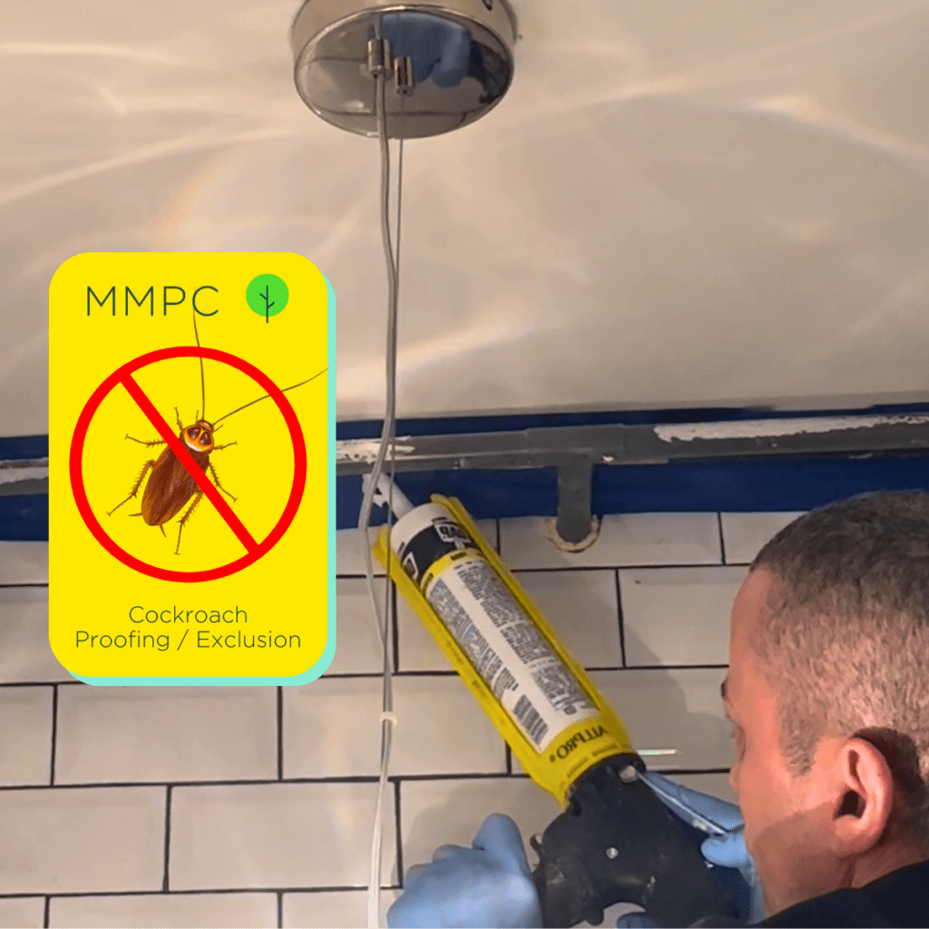 Cockroach Control Services - MMPC