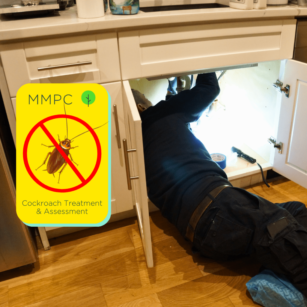Cockroach Control Services - MMPC