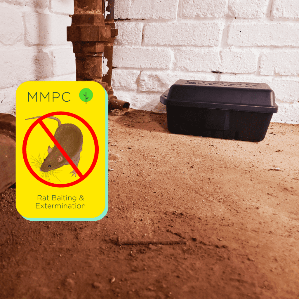 Rat Control - MMPC