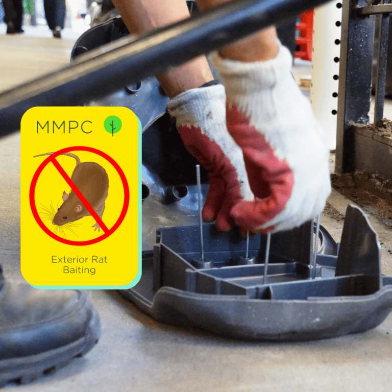 Rat Control Services - MMPC