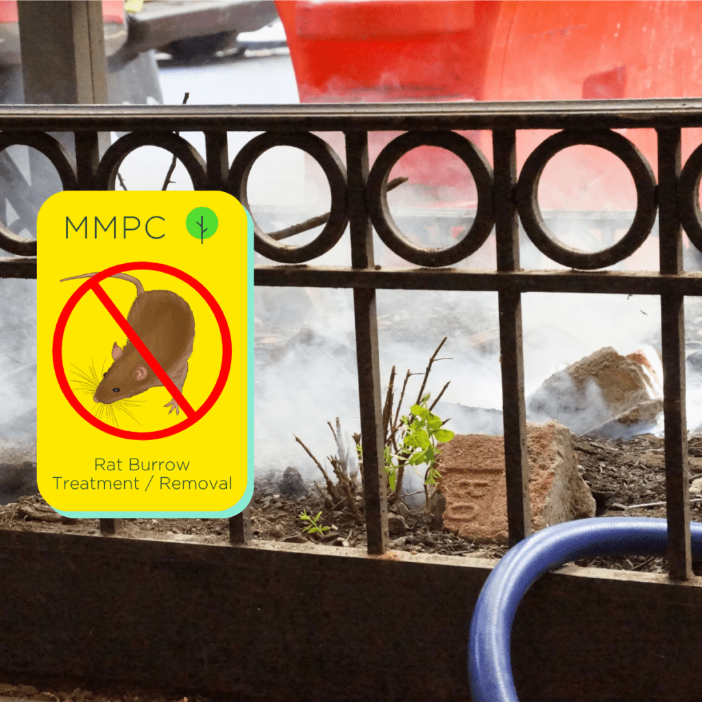 Rat Control - MMPC