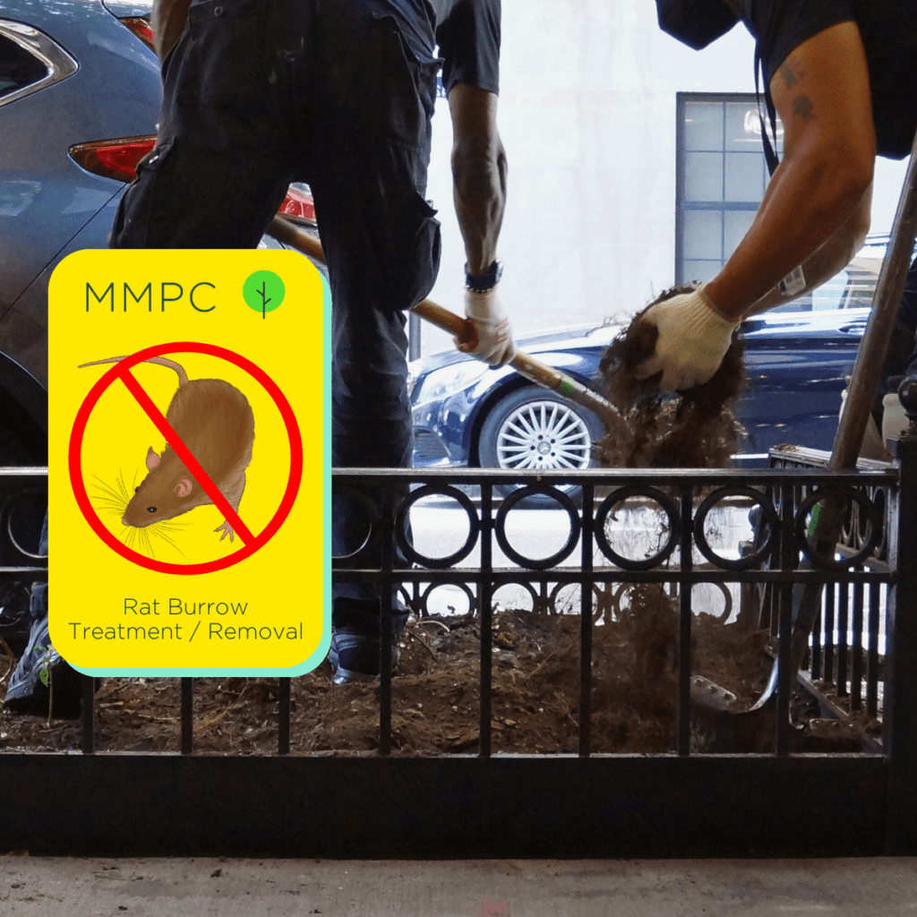 Rat Control - MMPC