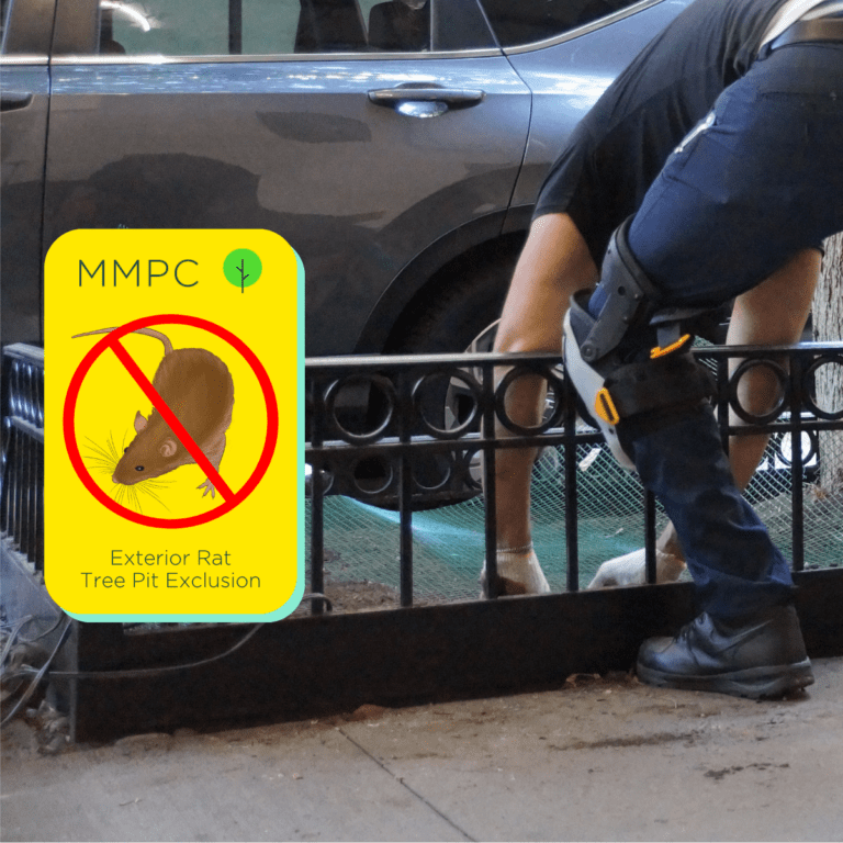 Rat Control Services - MMPC