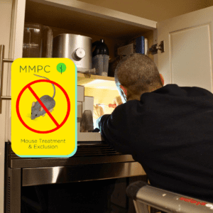 Mouse Control Services - MMPC