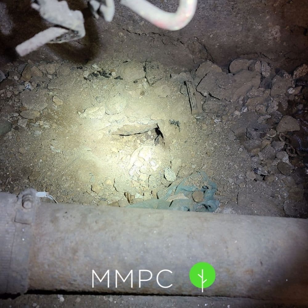 Finding and Eliminating Rat Burrows - MMPC