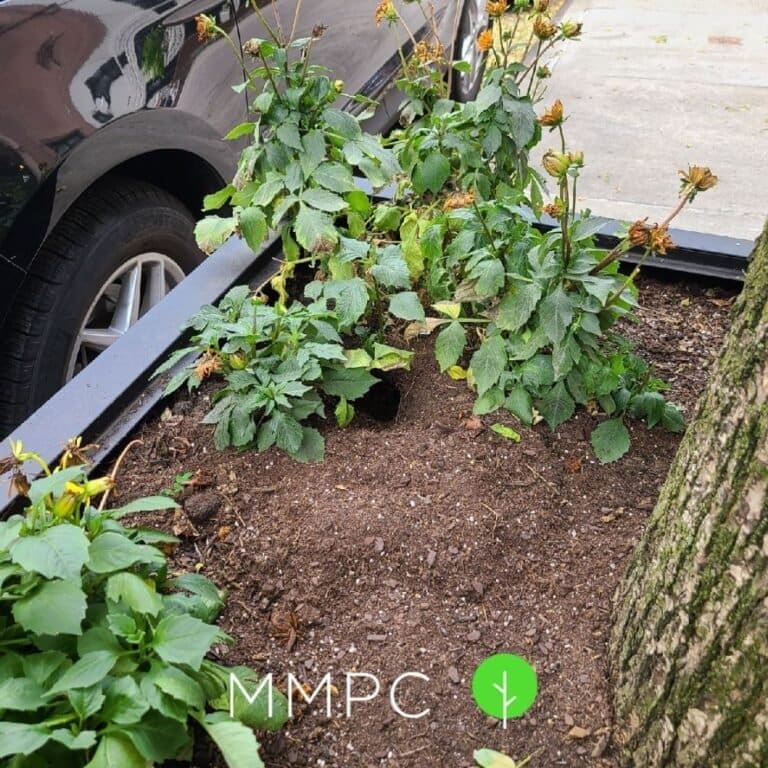 Finding and Eliminating Rat Burrows - MMPC