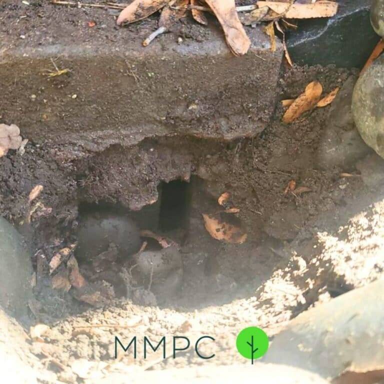 Finding and Eliminating Rat Burrows - MMPC